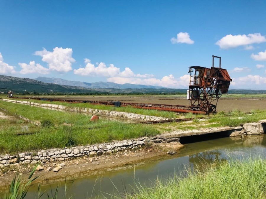 Akcionari zovu Alabara da kupi Solanu – Press