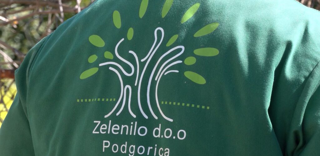 Zelenilo od početka godine zabilježilo skoro 2.700 poziva građana ...